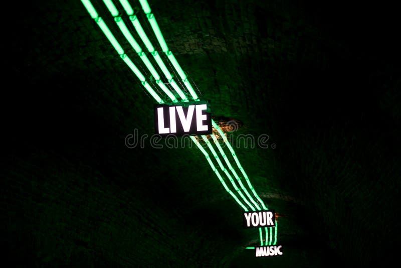 Portrait of Neon Sign Isolated on Black Stock Image - Image of festive ...