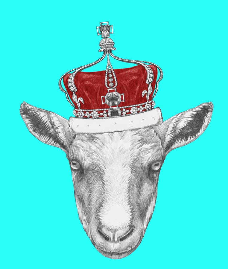 25+ Goat king Free Stock Photos - StockFreeImages