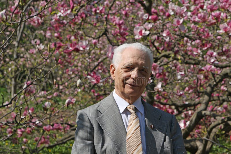 Portrait of Old Man with Magnolia in Blossom Stock Image - Image of ...