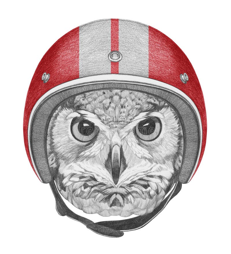 Portrait of Owl with Helmet. Stock Illustration - Illustration of ...