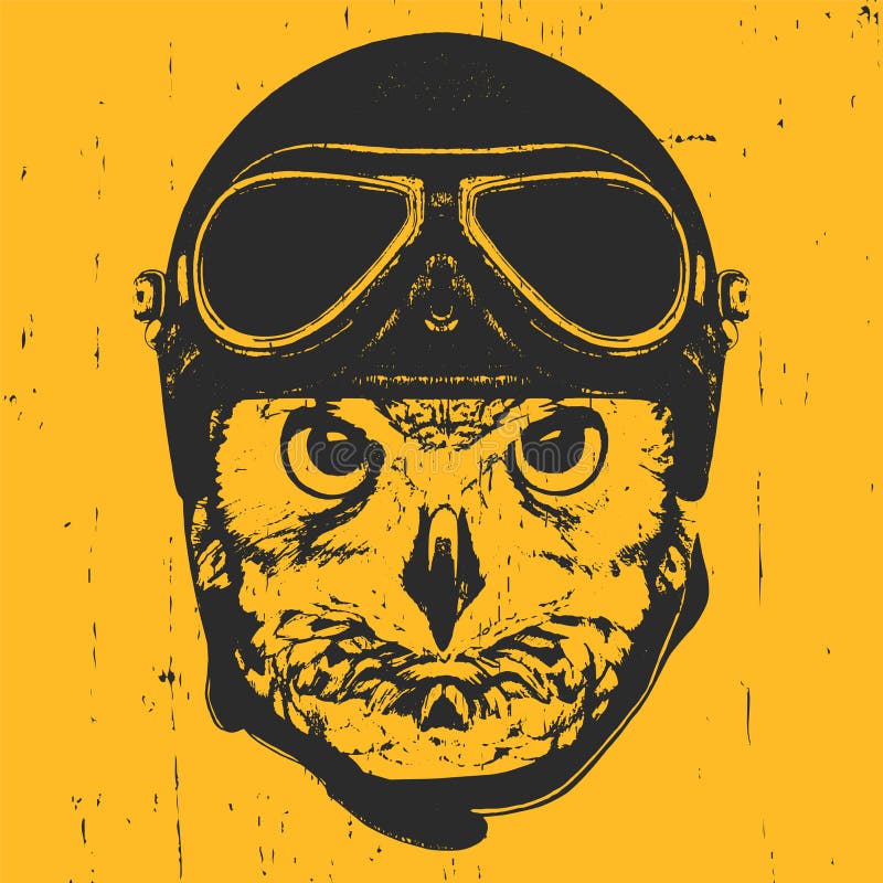 Military Owl Stock Illustrations – 88 Military Owl Stock Illustrations ...