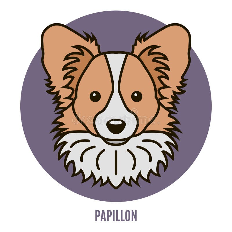 Portrait of Papillon stock vector. Illustration of face - 123218433