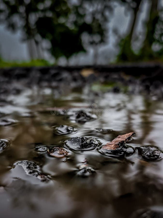 Portrait of Pebbles Rocks Above Puddle after Rain Stock Image - Image ...