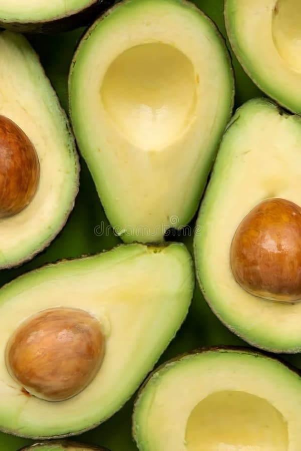 Portrait of a Peeled Avocado Stock Illustration - Illustration of tree ...