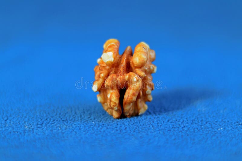 Portrait of a Peeled Walnut Stock Image - Image of dessert, walnut ...