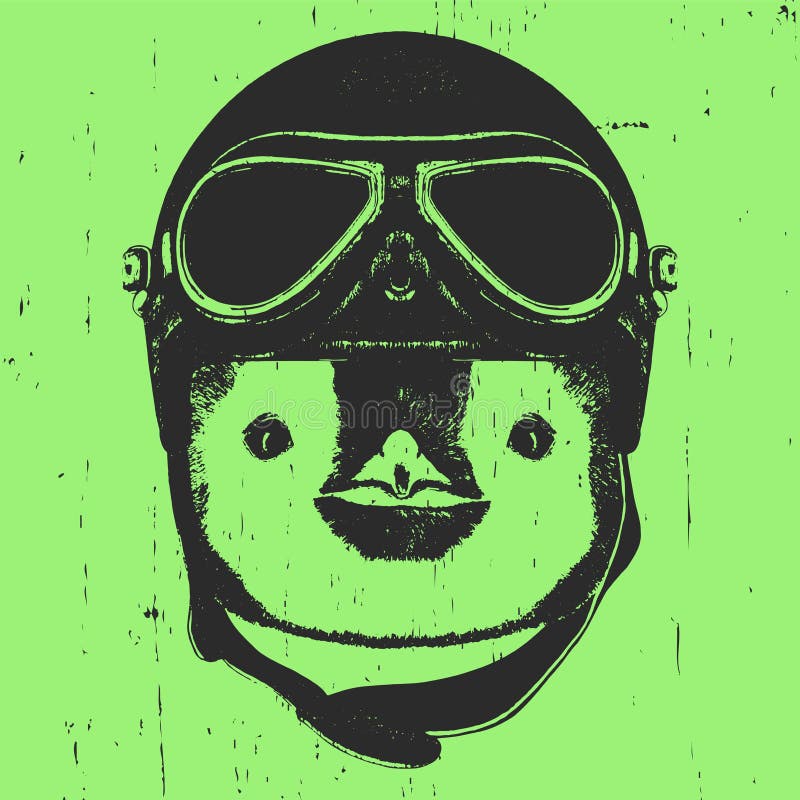 Portrait of Penguin with Vintage Helmet. Stock Vector - Illustration of ...