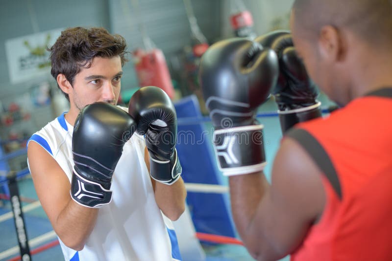 Portrait People during Boxing Practice at Gym Stock Image - Image of ...