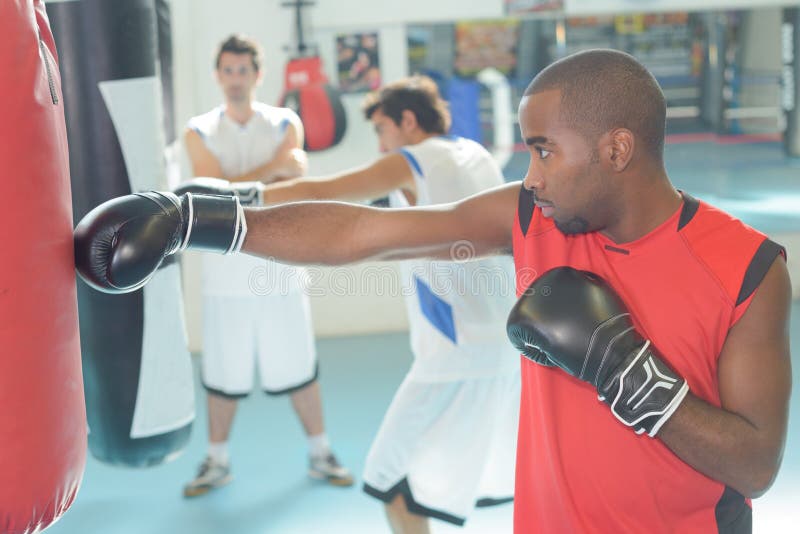 Portrait People Inside Boxing Gym Stock Image - Image of sweat, sport ...