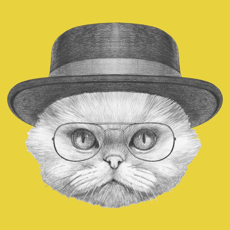 Portrait of Persian Cat with Glasses and Hat. Stock Illustration ...
