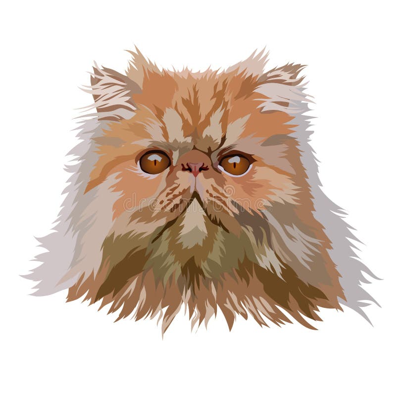 Portrait Persian Cat , Vector Illustration Stock Vector - Illustration ...