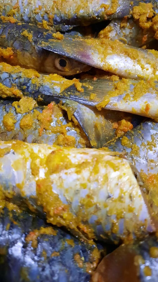Portrait Photo of a Group of Fish Covered in Spices Stock Image - Image ...