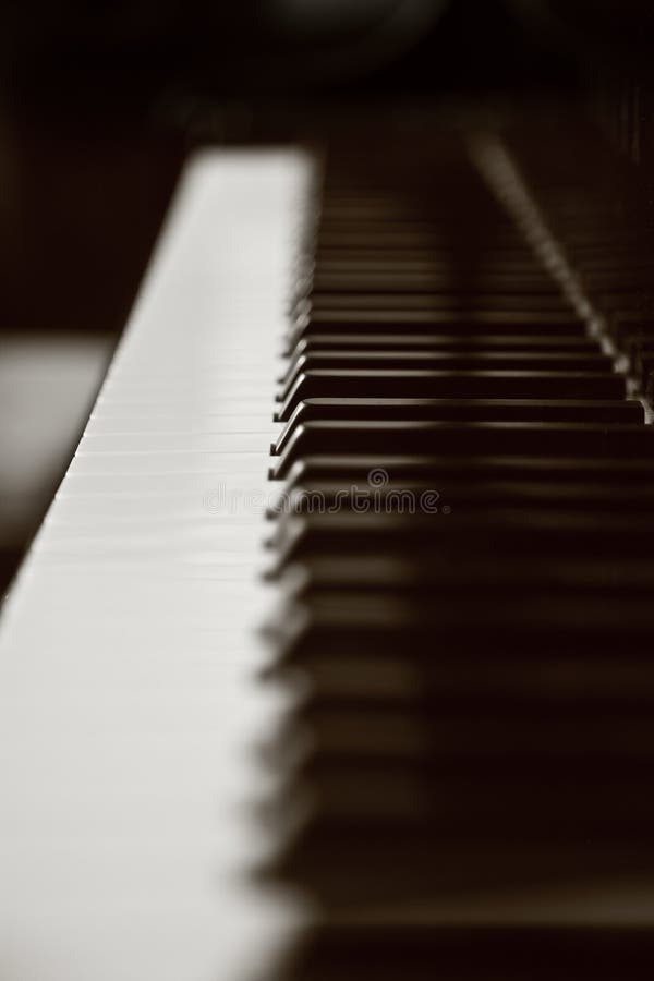 Portrait of a Piano Keyboard Stock Photo - Image of pattern, song: 17782642