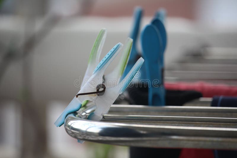 Portrait Picture of the Cloth Holding Clip Stock Photo - Image of cloth ...