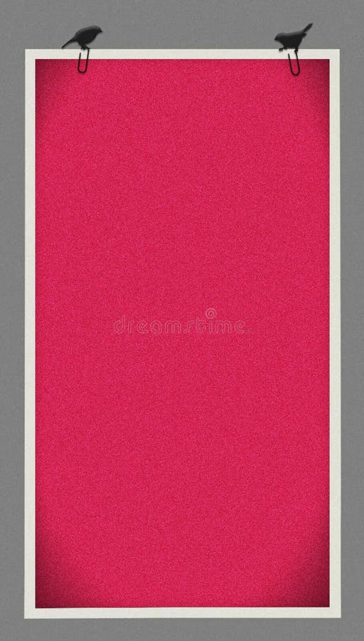 Portrait Pinned Photography Hanging Frame Stock Photo - Image of floor ...