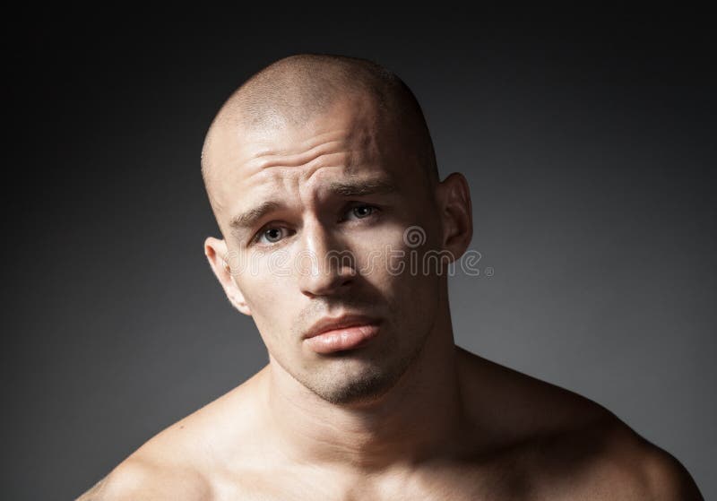 Pitiful stock photo. Image of depressed, farm, pork, agriculture - 539226