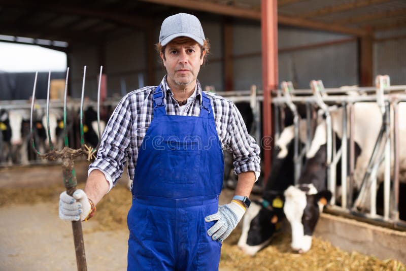 Portrait of Positive Male Farm Worker in Cowshed Stock Photo - Image of ...