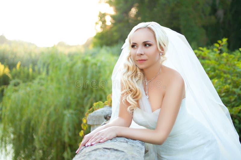 Portrait of pretty bride stock photo. Image of bride - 37190364