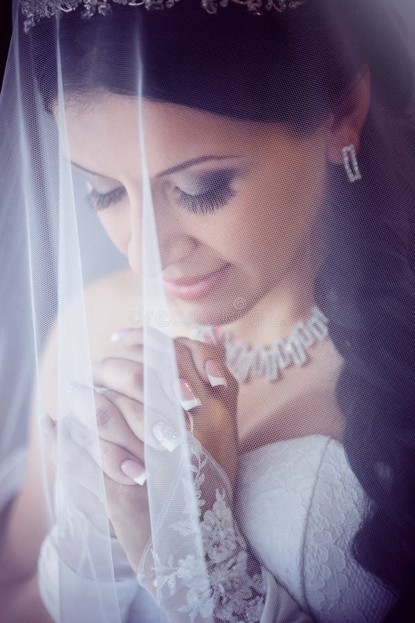 Portrait of Pretty Bride with Veil Stock Image - Image of celebration ...
