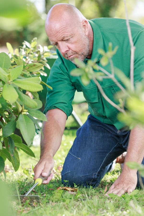 Portrait Professional Male Gardener in Uniform Stock Image - Image of ...