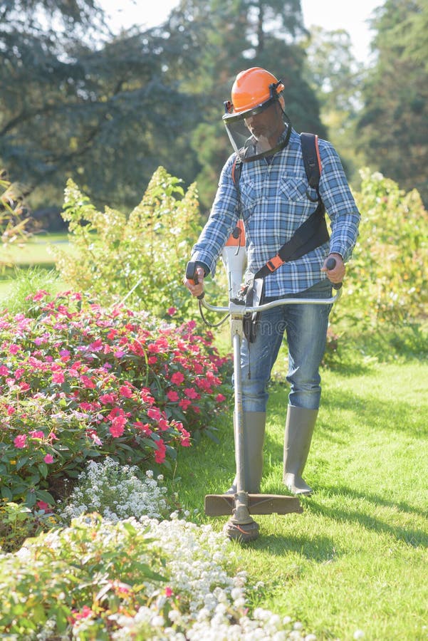 Portrait Public Landscaping Worker Stock Image - Image of trimming ...