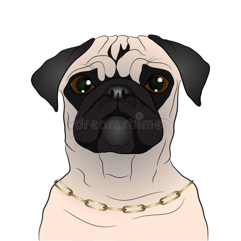 Isolated Pug Avatar Stock Illustrations – 89 Isolated Pug Avatar Stock ...