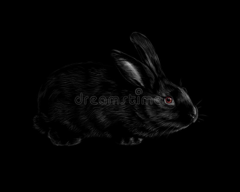 Rabbit Black Background Stock Illustrations – 23,452 Rabbit Black ...