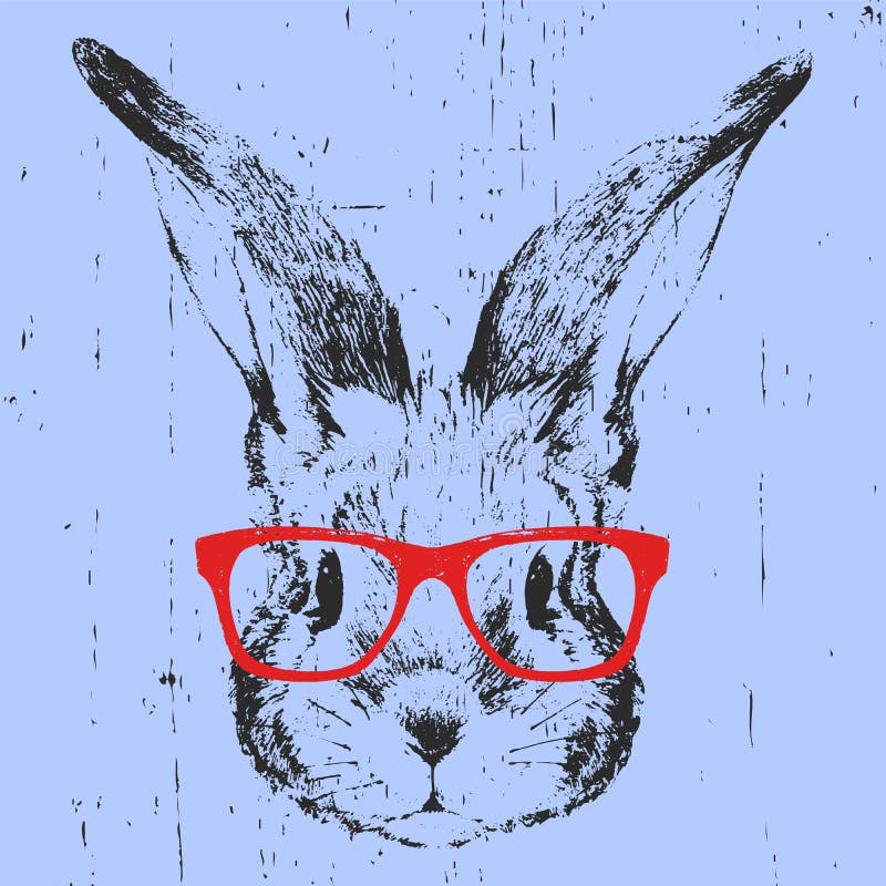 Portrait of Rabbit with Glasses. Stock Vector - Illustration of beauty ...