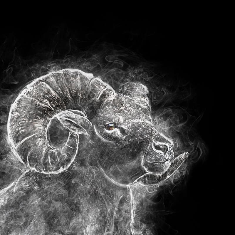 Portrait of a ram stock illustration. Illustration of element - 46176100