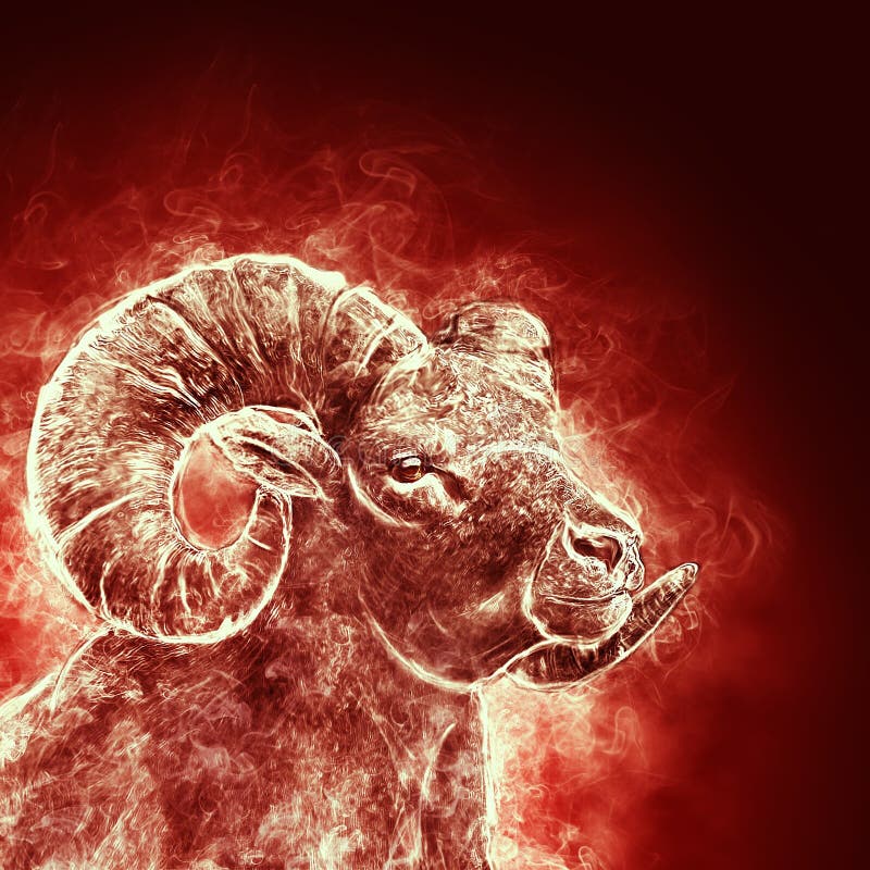 Portrait of a ram stock illustration. Illustration of animal - 46176103