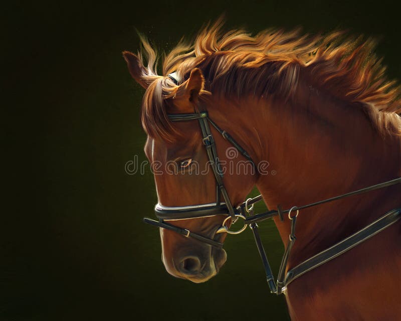 Portrait of red horse stock illustration. Illustration of chestnut ...