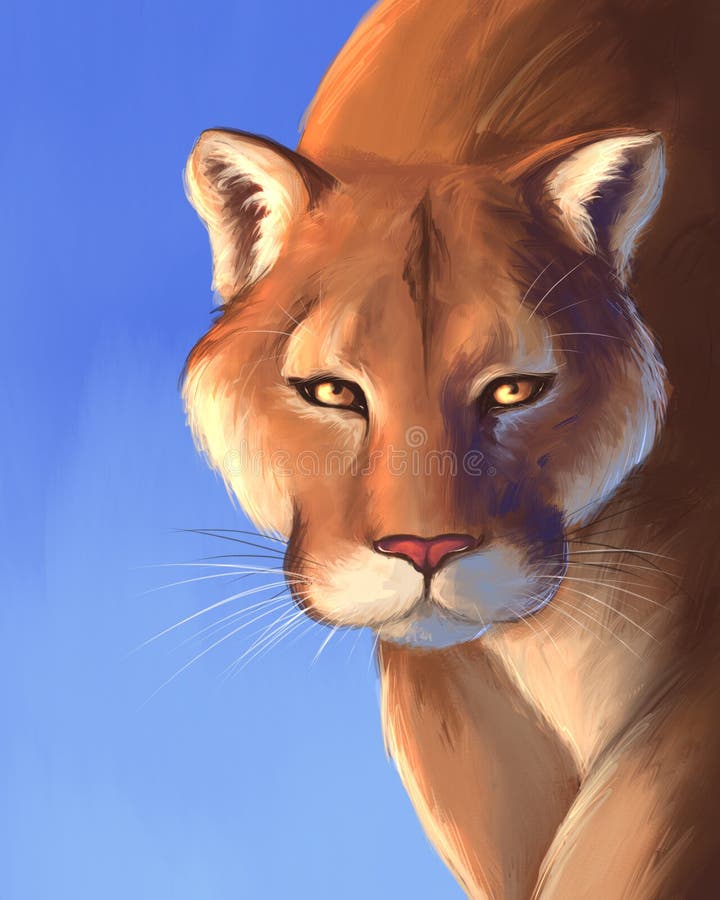 Portrait of a red puma stock illustration. Illustration of digital ...