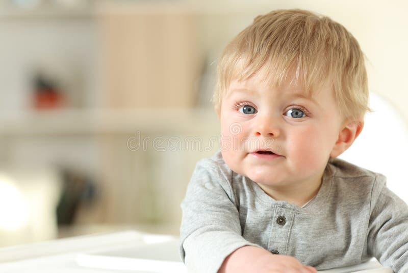 Portrait of a Relaxed Baby Looking at You Stock Photo - Image of camera ...