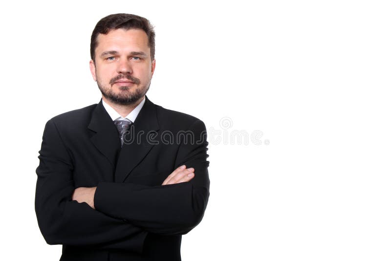 Portrait of Young Business Executive Stock Photo - Image of consultant ...