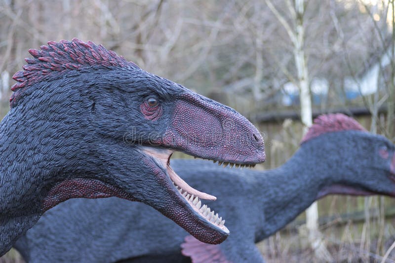 Portrait (right Profile) of a Predatory Utahraptor . Editorial Stock ...