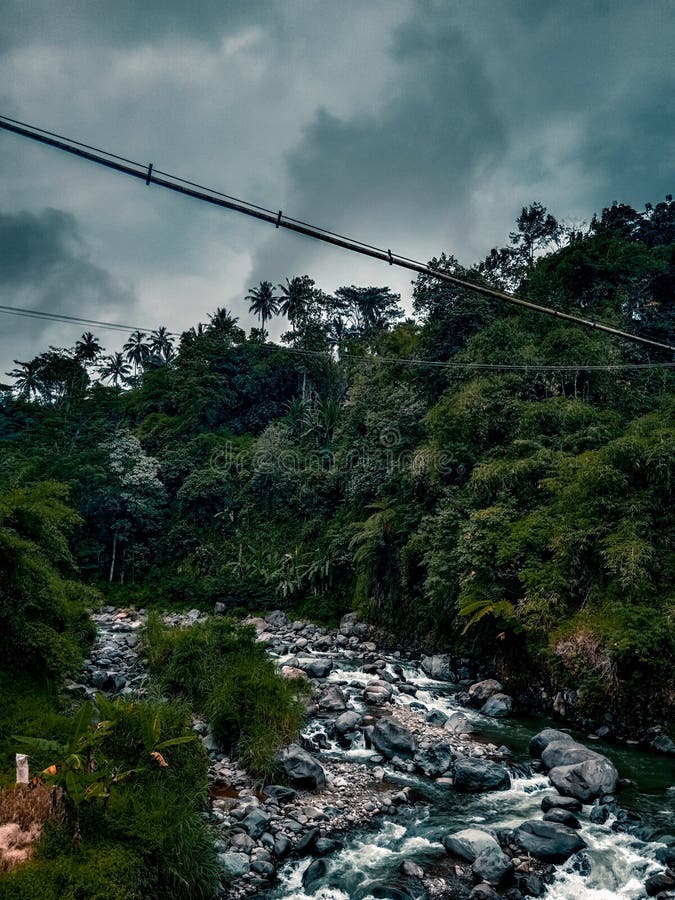Portrait of a River Full of Rocks Amidst Shady Trees Stock Photo ...