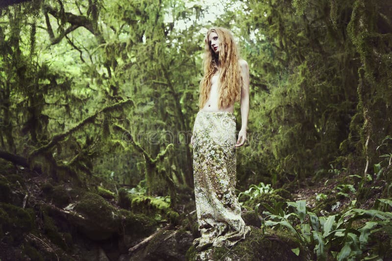 Portrait of Romantic Woman in Fairy Forest Stock Photo - Image of plant ...