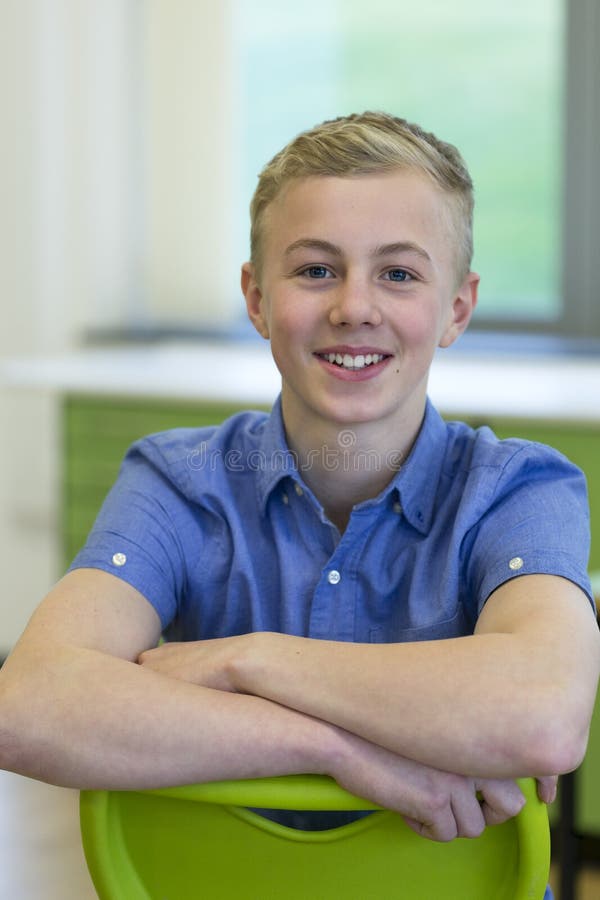 Portrait of a school boy stock image. Image of handsome - 72540531