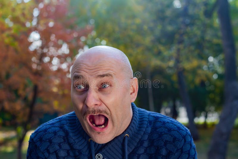 Portrait of a Screaming Bald Man in a Blue Sweater Stock Photo - Image ...