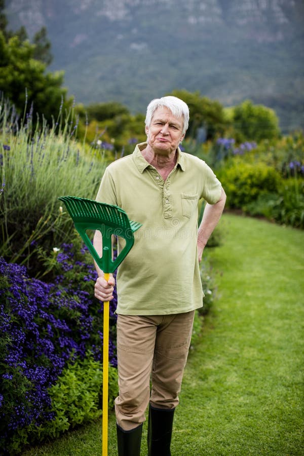 Portrait of Senior Man Standing with Garden Tool Stock Photo - Image of ...
