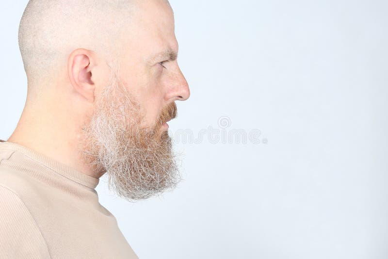 Portrait of a Serious Bearded Man in Profile Stock Photo - Image of ...