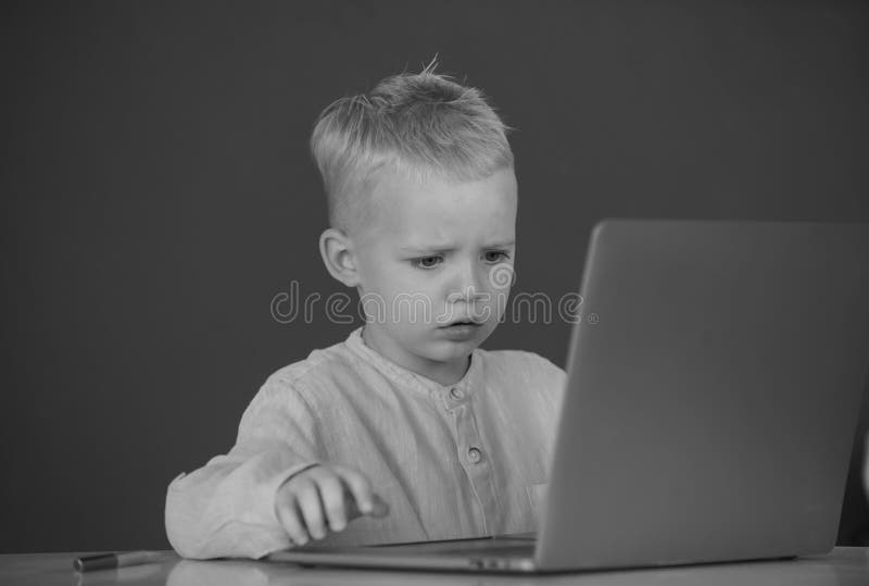 Portrait of Serious Concentrate Pupil School Boy Using Laptop. Stock ...