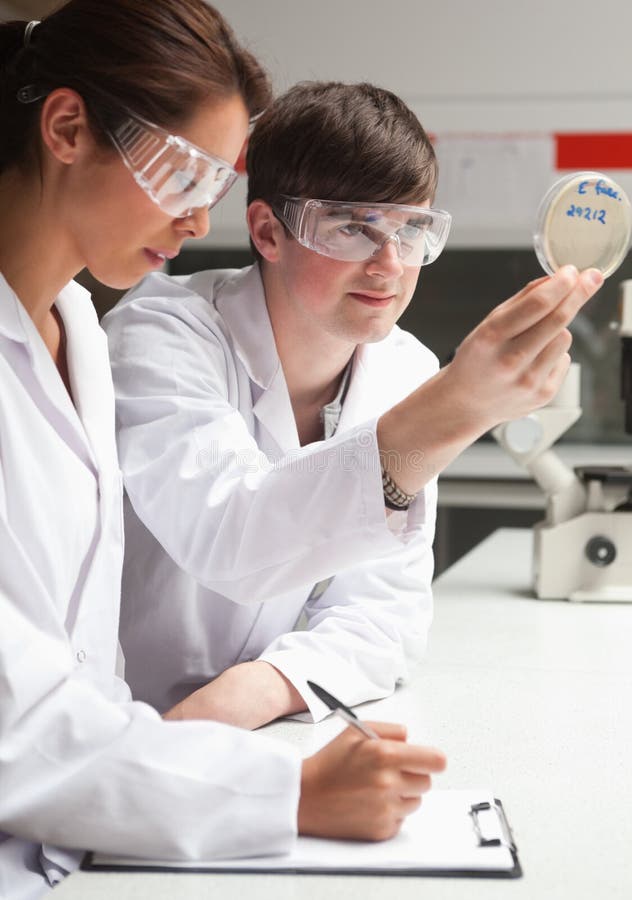Portrait of Serious Students in Science Looking Stock Image - Image of ...