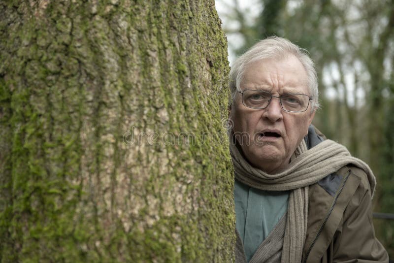 Shocked Senior Man Peeking from Behind a Large Tree in the Woods Stock ...
