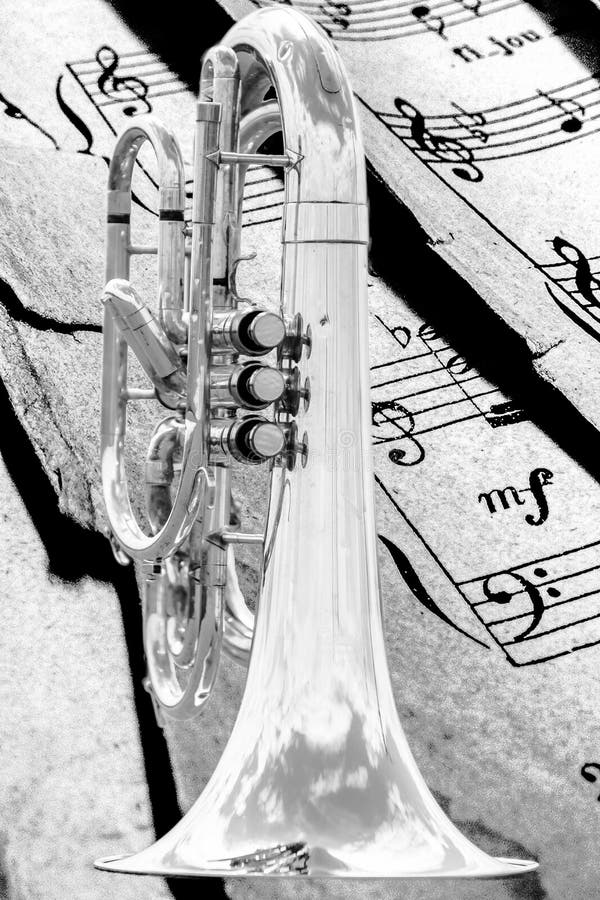 Portrait of a Silver Baritone Stock Photo - Image of bass, instrument ...