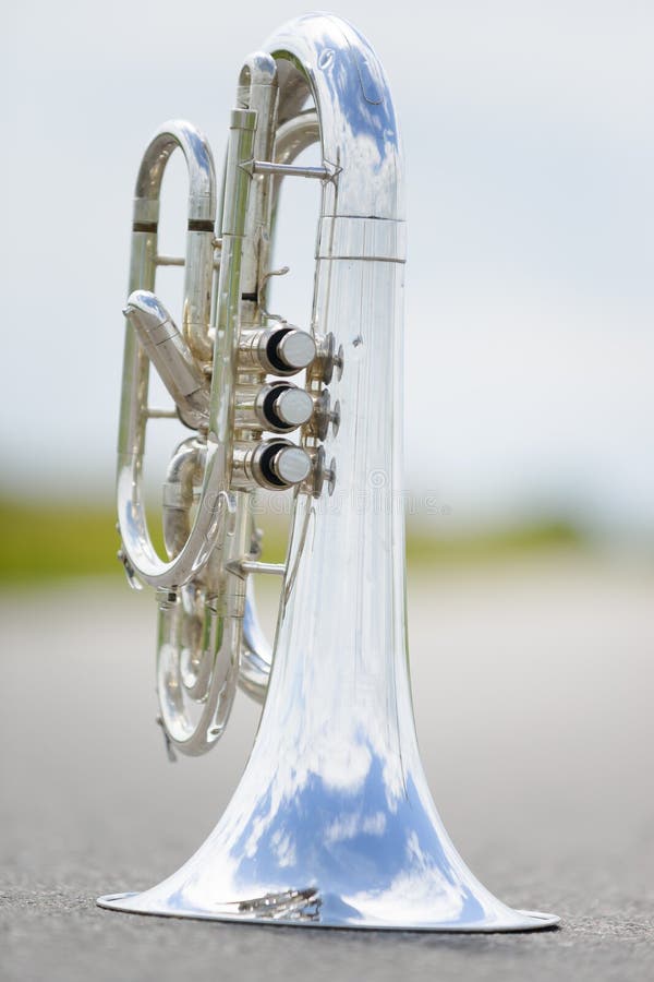 Portrait of a Silver Baritone Stock Image - Image of grass, lawn: 67037289