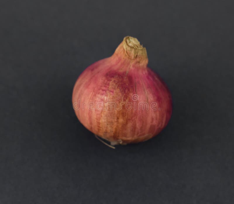 Portrait of a Single Red Colored Medium Sized Fresh Onion in Front a ...