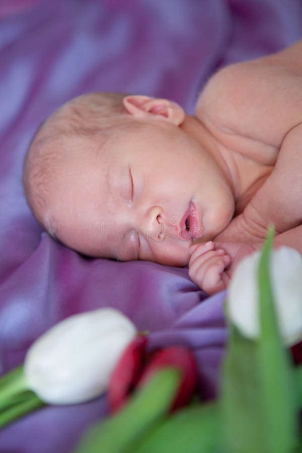 Portrait of Sleeping Newborn Baby Stock Image - Image of lifestyle ...