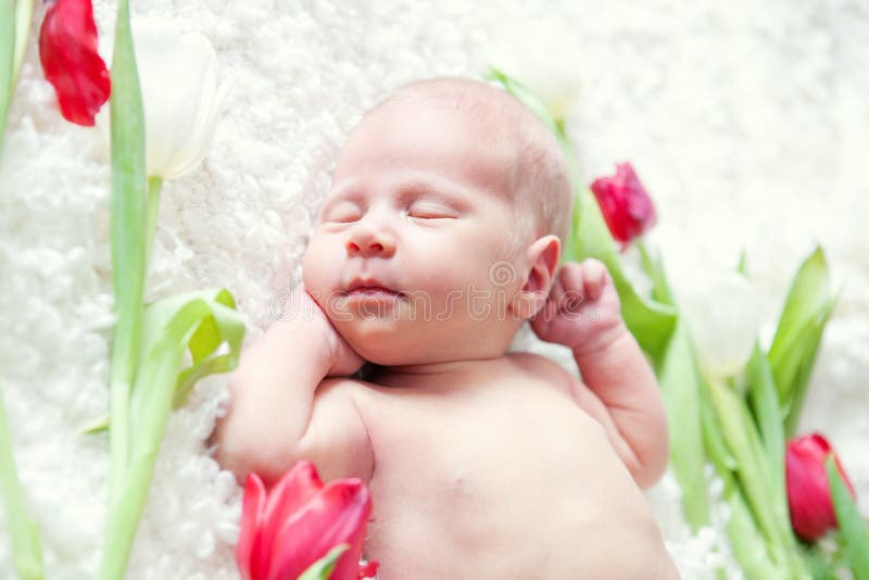 Portrait of Sleeping Newborn Baby Stock Image - Image of baby ...