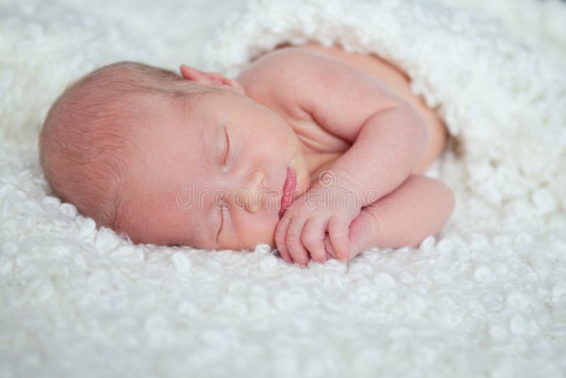 Portrait of Sleeping Newborn Baby Stock Photo - Image of resting ...