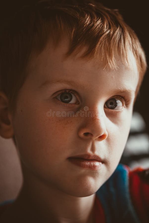 Portrait of a Small Cute Boy Stock Image - Image of skin, head: 192092107